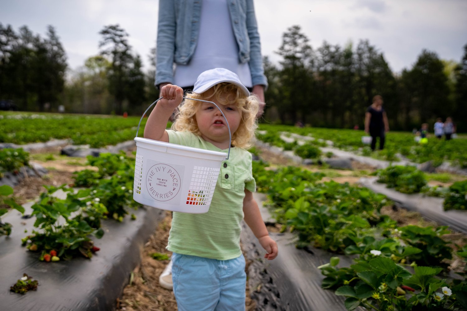 Family Fun on a U-Pick Farm