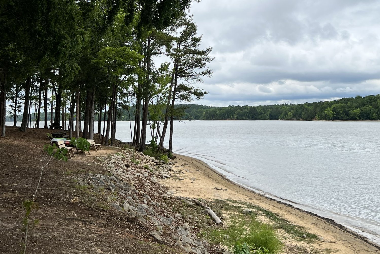 5 Things To Do at Lake Wateree State Park | Olde English District
