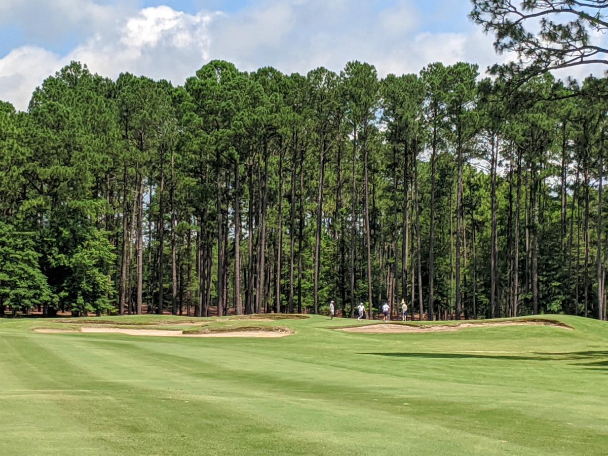 Golfing Through the Olde English District | Olde English District