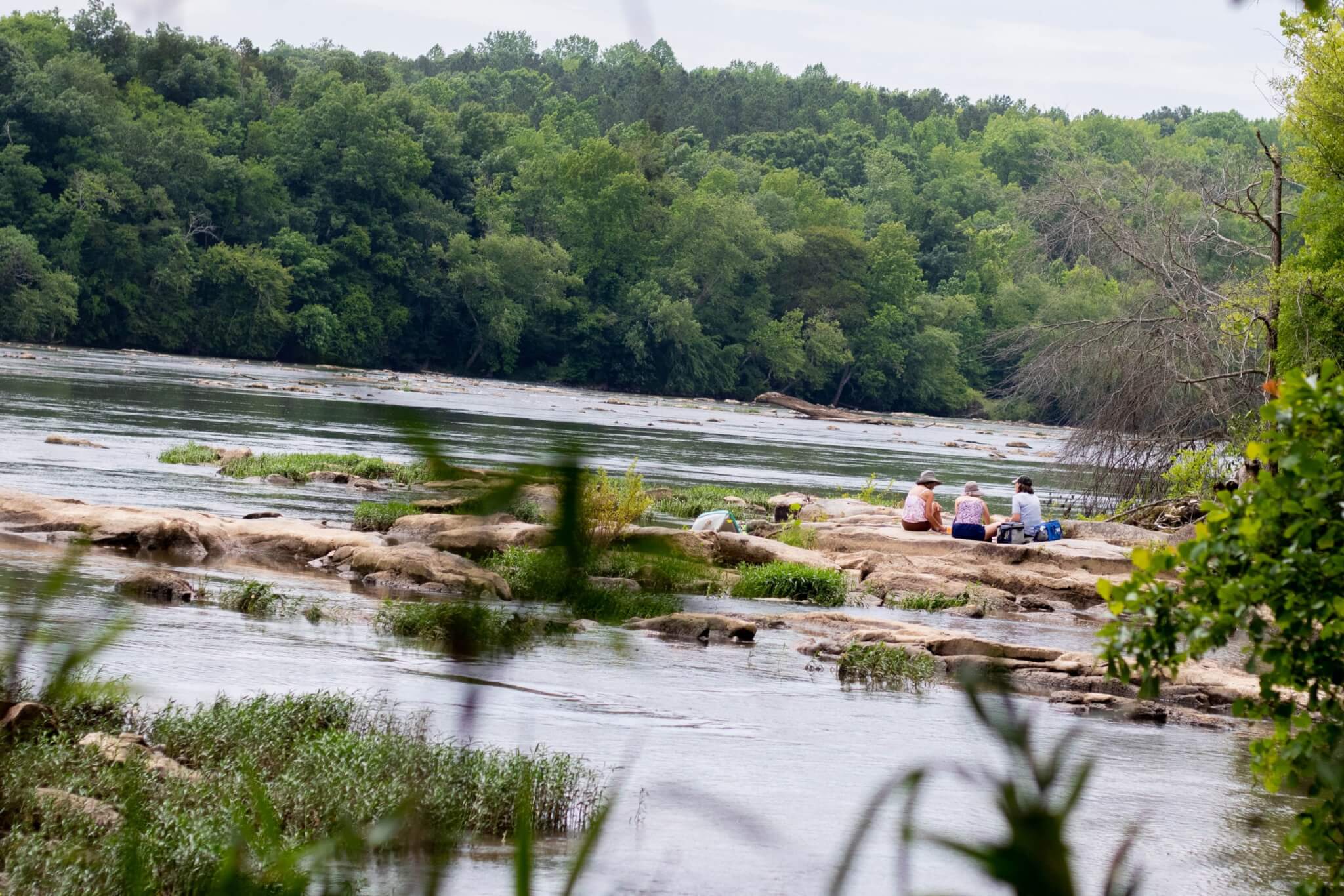 Your Guide to National Picnic Month in the OED | Olde English District