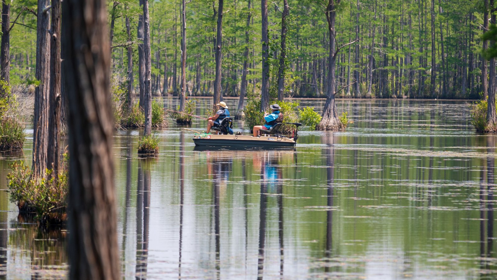 4 Things to Do at Goodale State Park | Olde English District